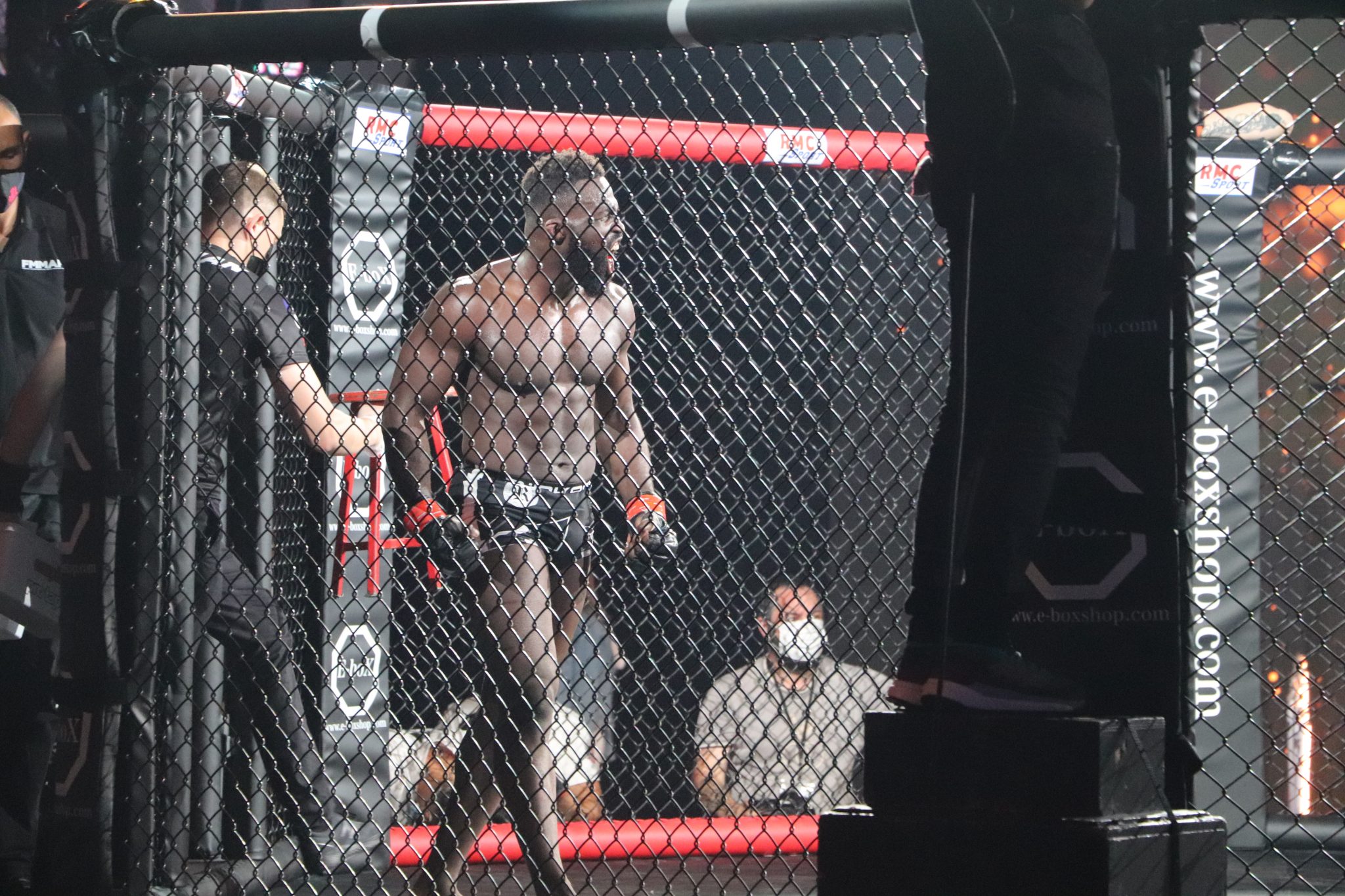 Le MMA fait le show à Paris La Défense Arena
